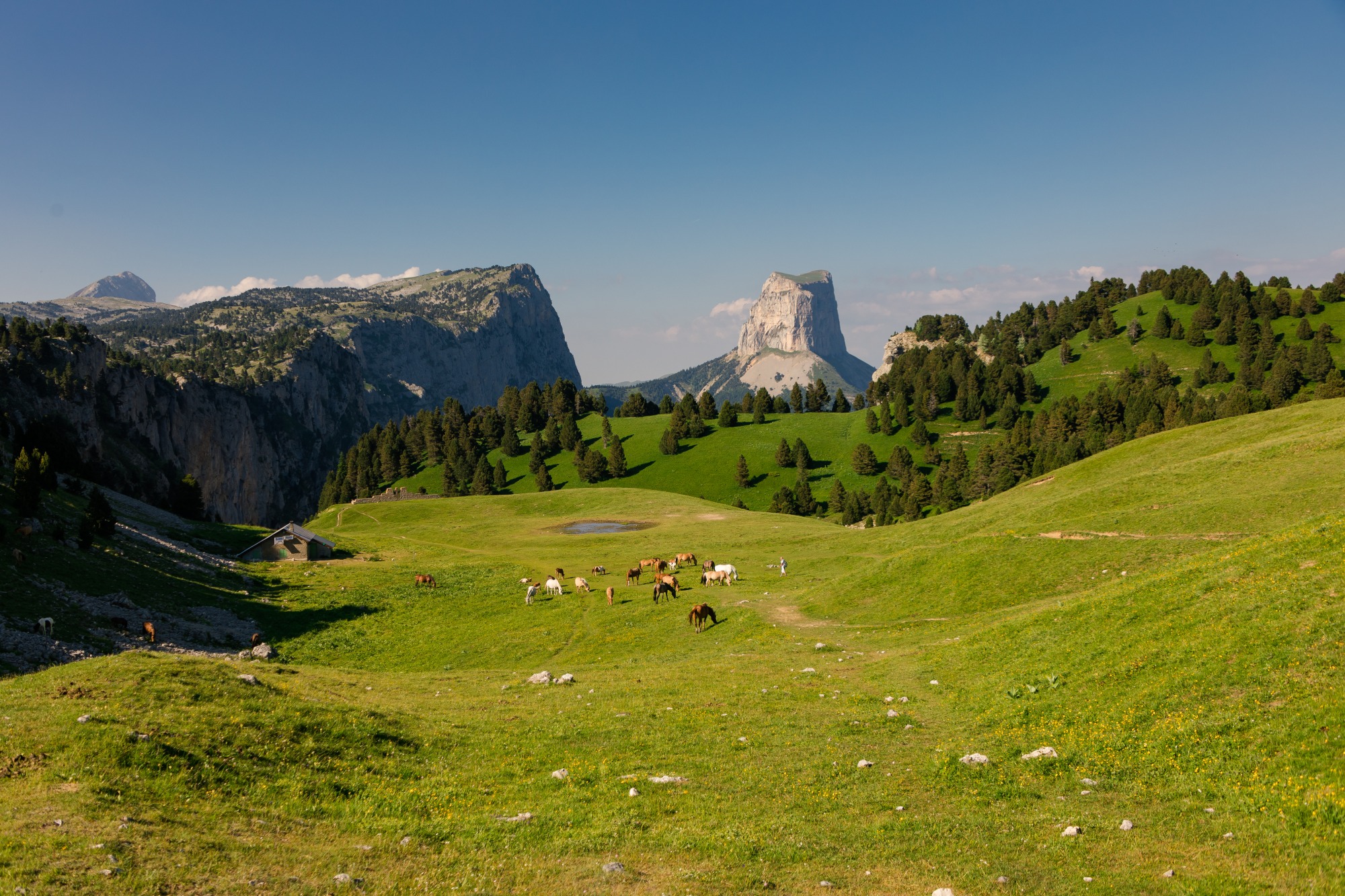 Guide pratique de la Réserve naturelle des Hauts Plateaux du Vercors
